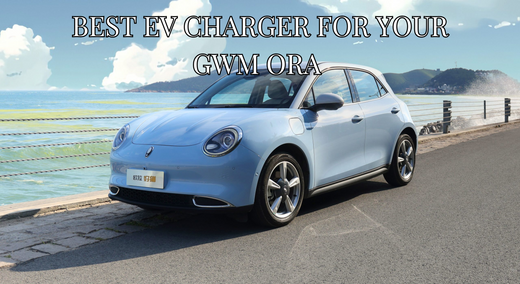 Best Charger For Your GWM EV – EV Sifu